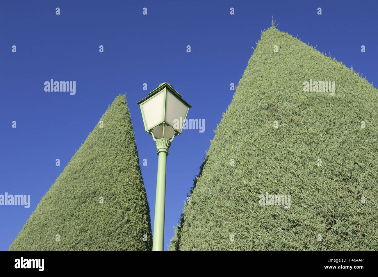 Conical topiary hi-res stock photography and images - Alamy
