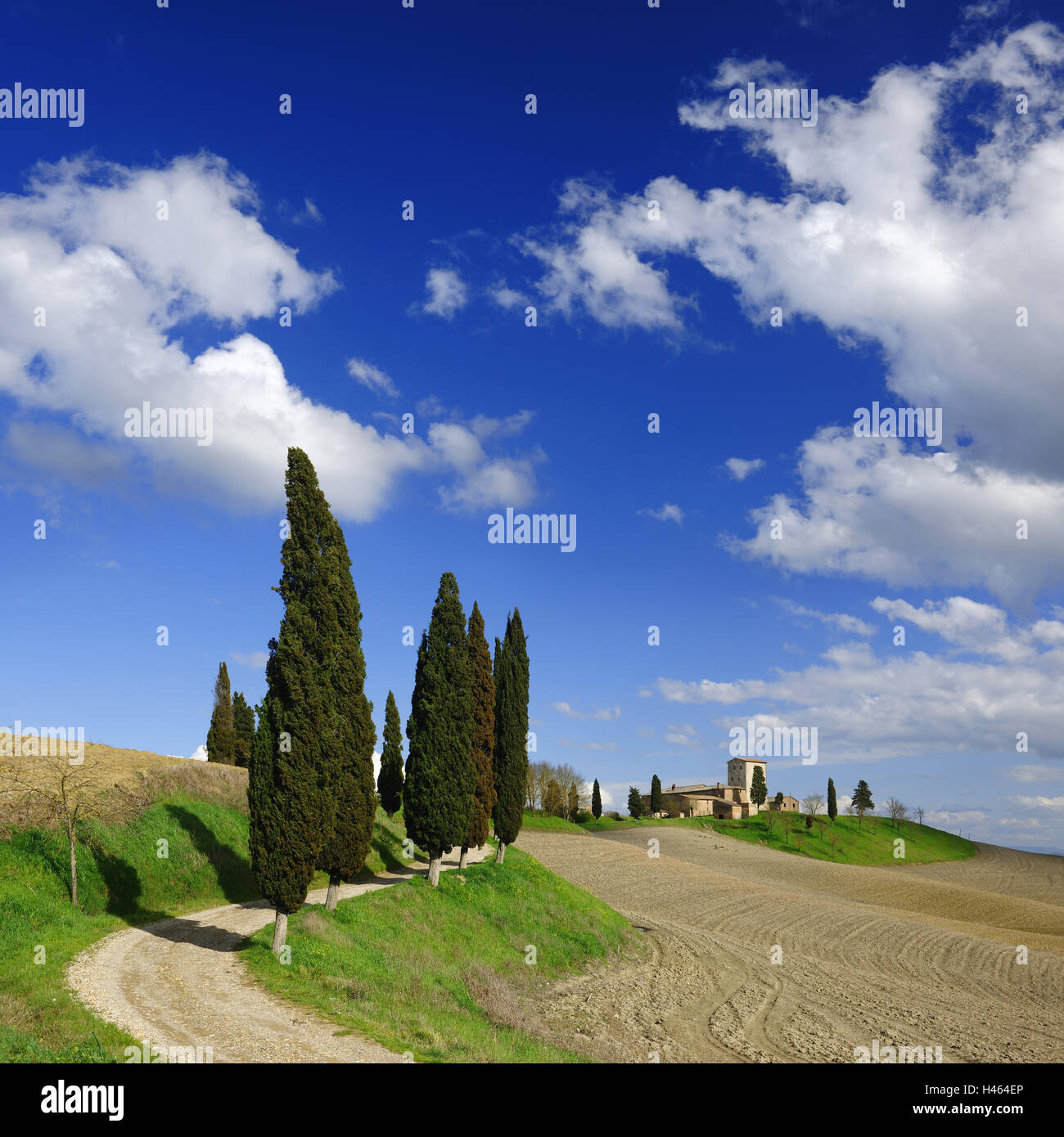 Italy, Tuscany, province Siena, Crete Senesi, scenery Stock Photo - Alamy