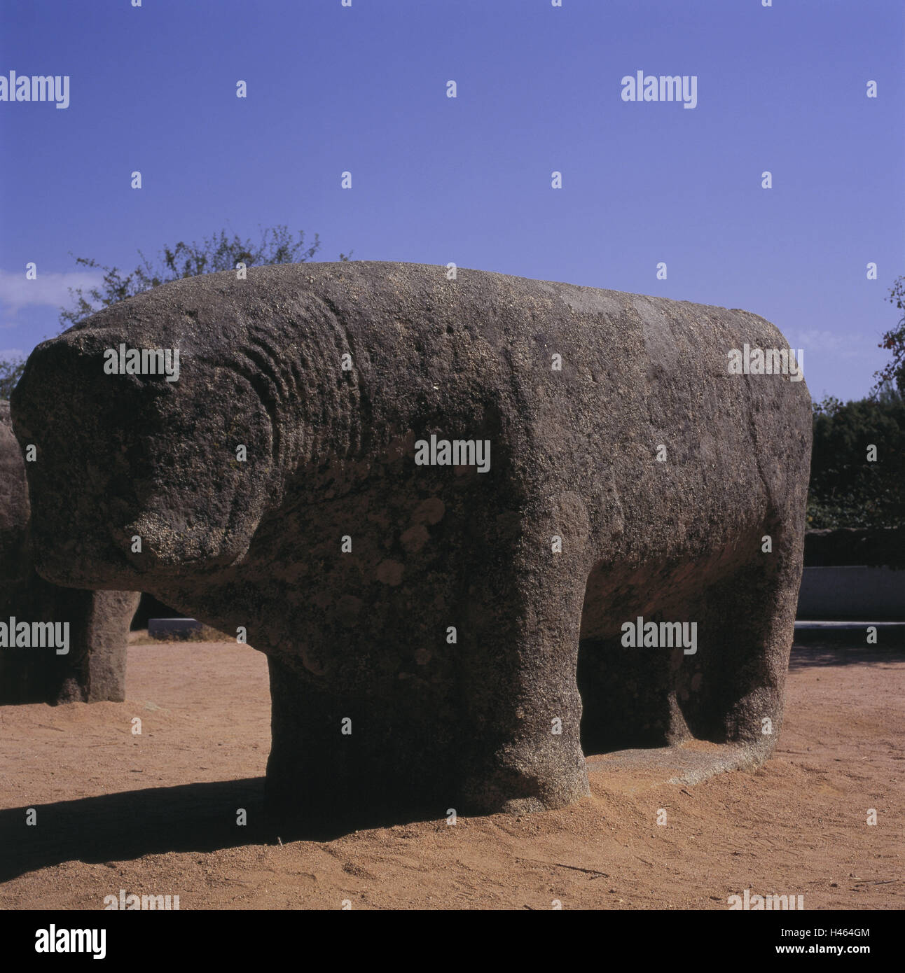 Toro animal hi-res stock photography and images - Alamy