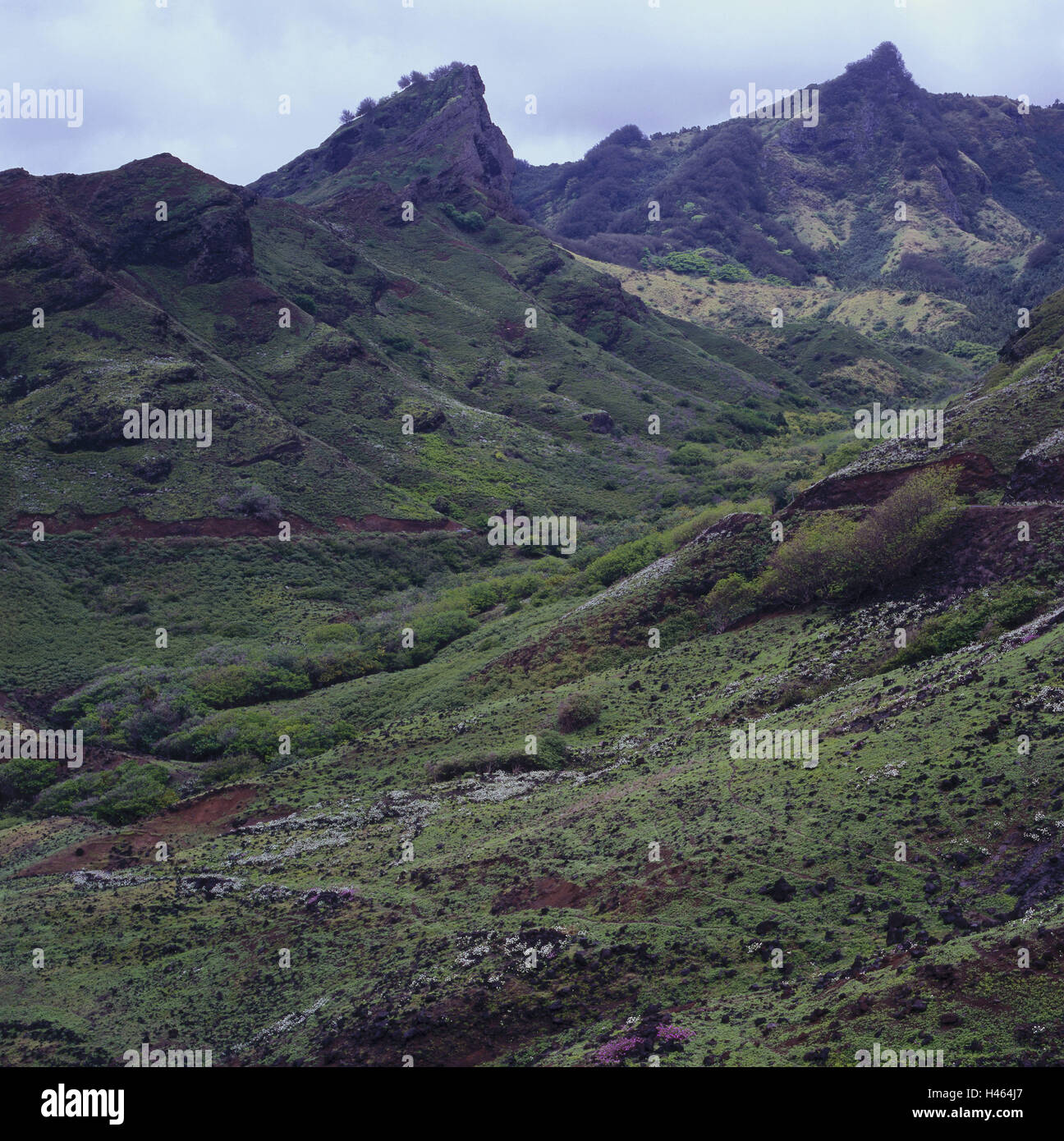 French Polynesia, Ua Huka, mountain landscape, island, scenery, nature ...