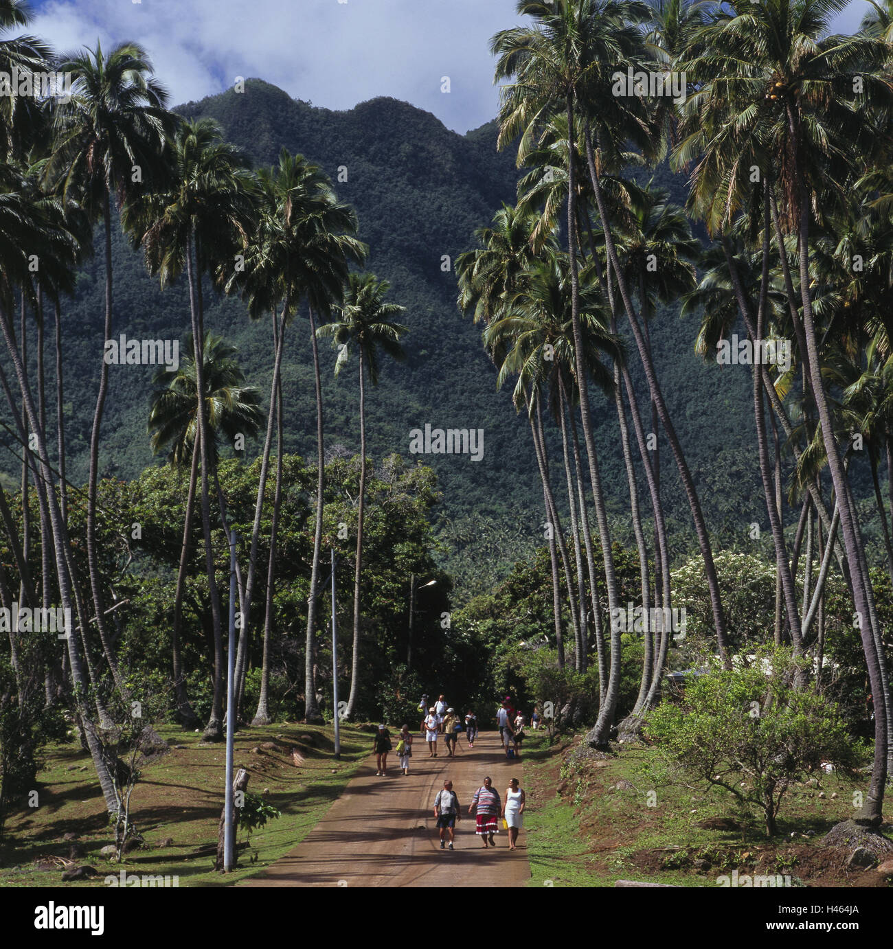 French Polynesia, Ua Huka, Hane, mountain landscape, wood, way, tourist ...