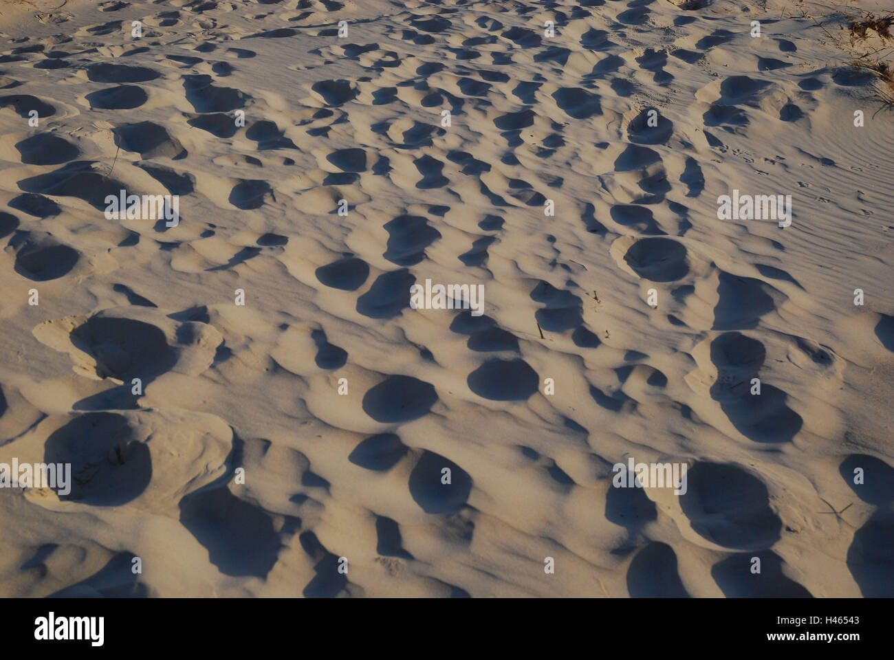 Sandy beach, footprints Stock Photo - Alamy