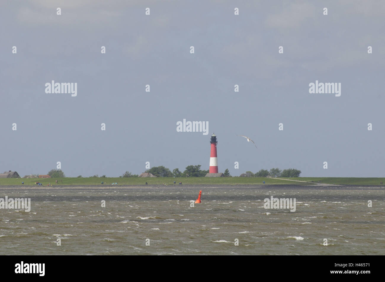 Germany, Schleswig - Holstein, north frieze country, island Pellworm ...