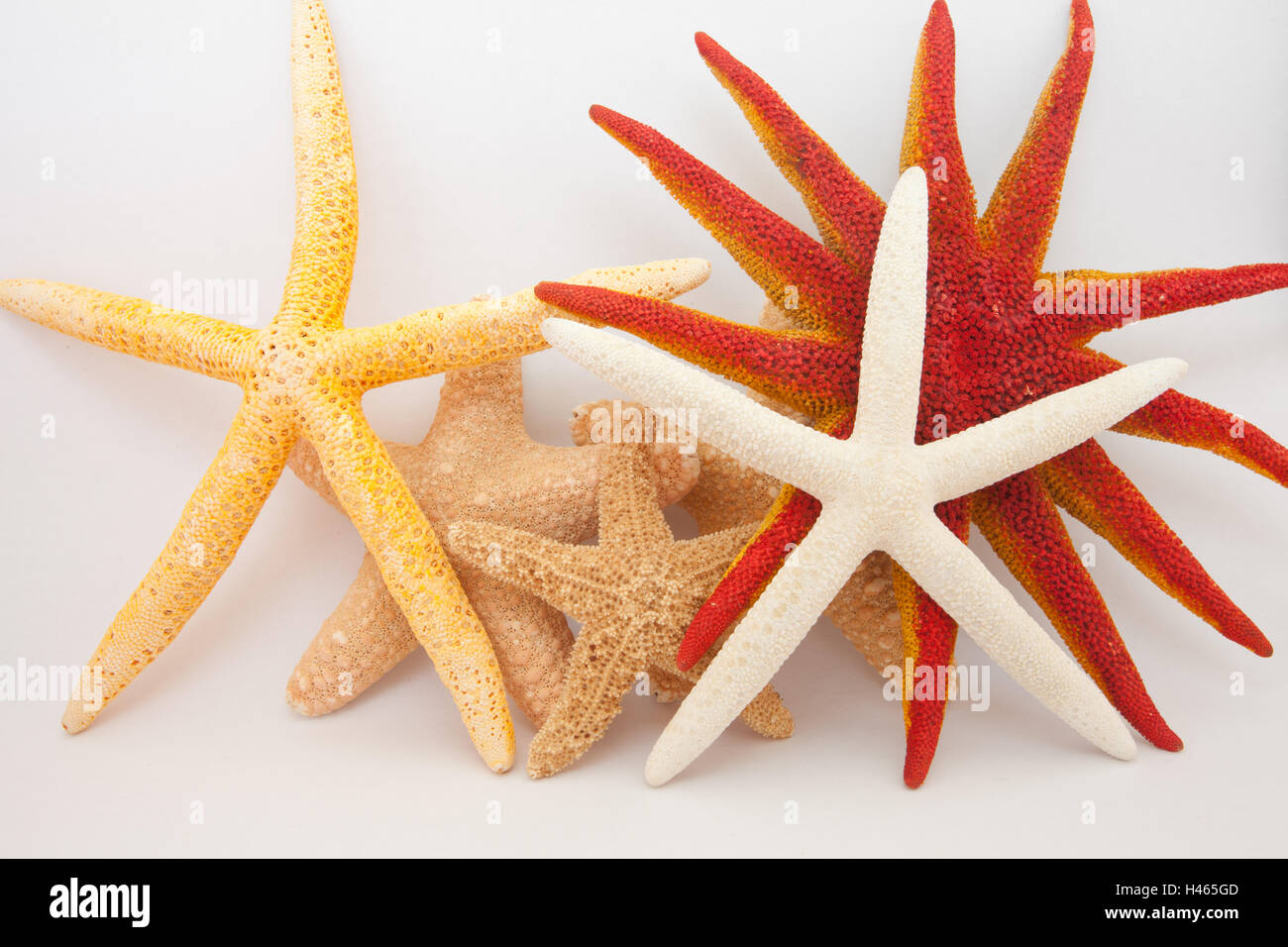 Tropical beach starfish hi-res stock photography and images - Alamy