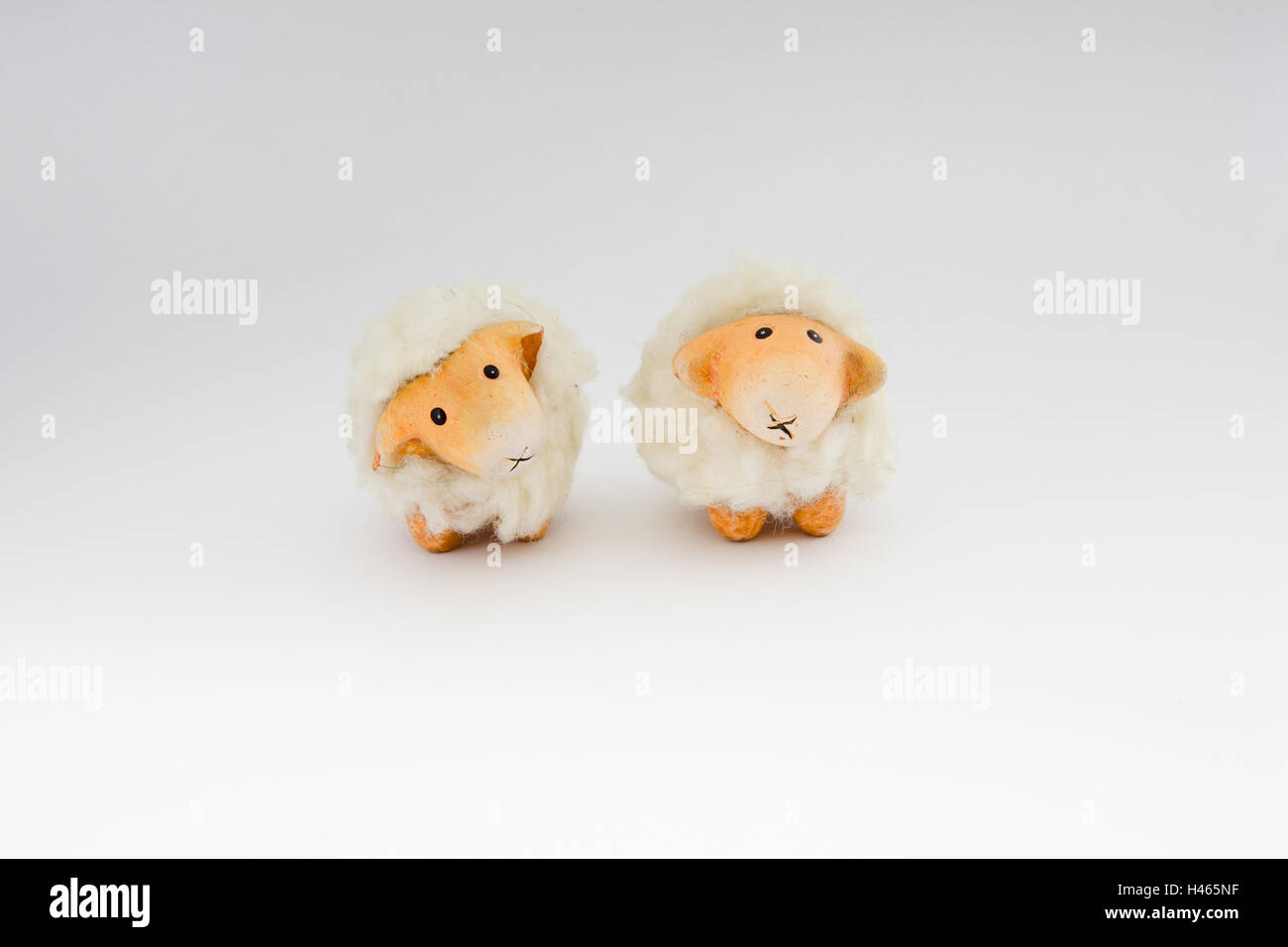 Cute sheep playing together Stock Photo - Alamy