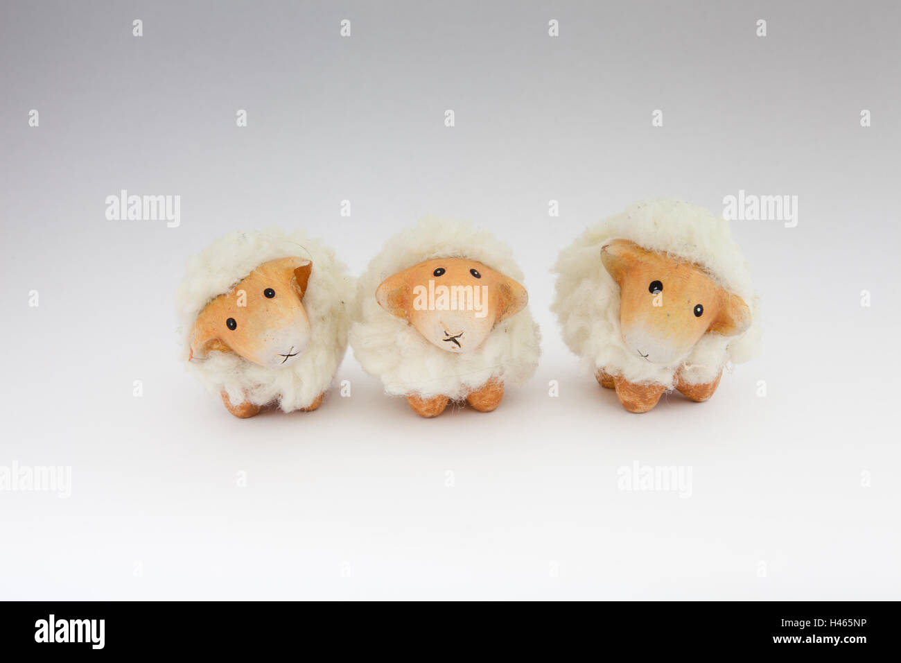 Cute sheep playing together Stock Photo - Alamy