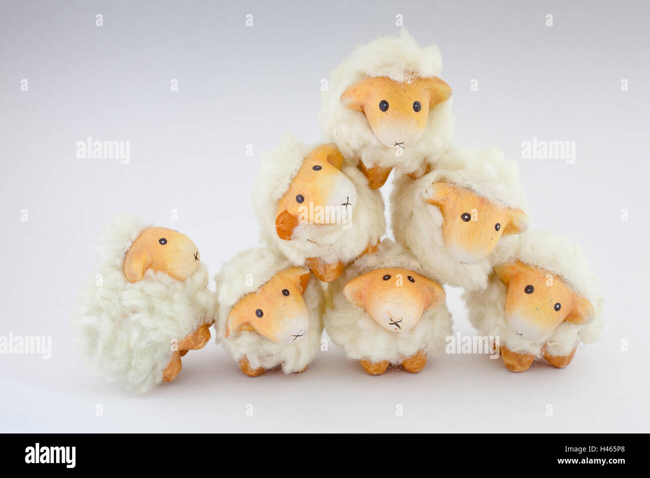 Cute sheep playing together Stock Photo - Alamy