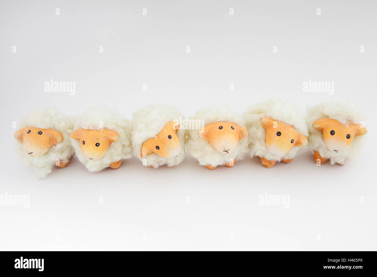 Cute sheep playing together Stock Photo - Alamy