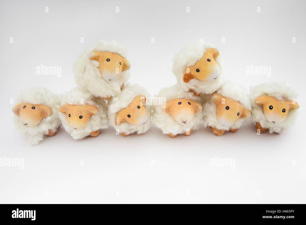 Cute sheep playing together Stock Photo - Alamy