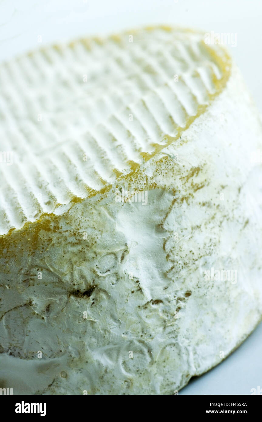 Cheese loaf, completely, cheese slices, cheese, cheese speciality ...