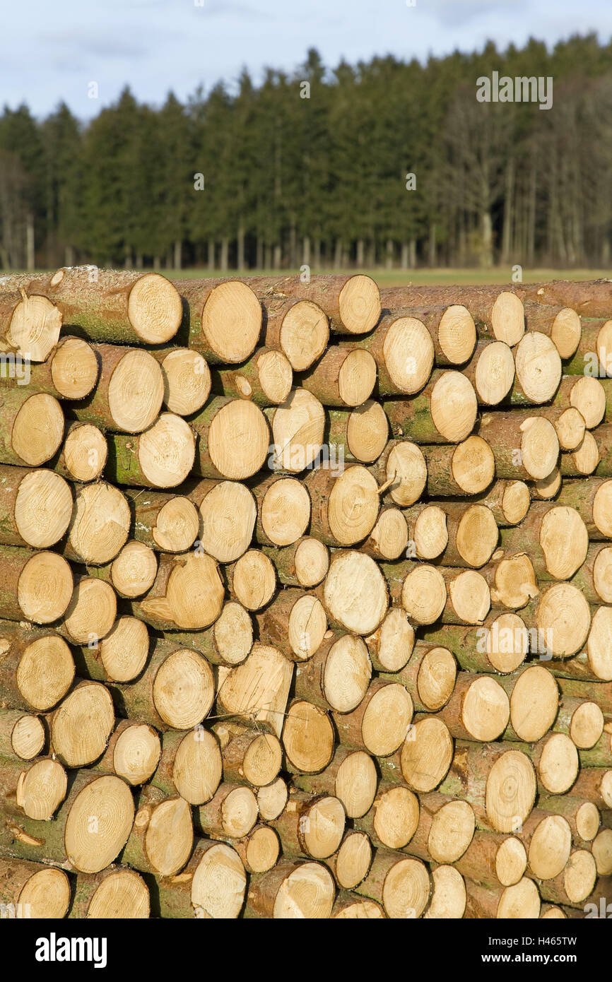 wooden batch, detail, batch, wooden strains, coniferous forest ...