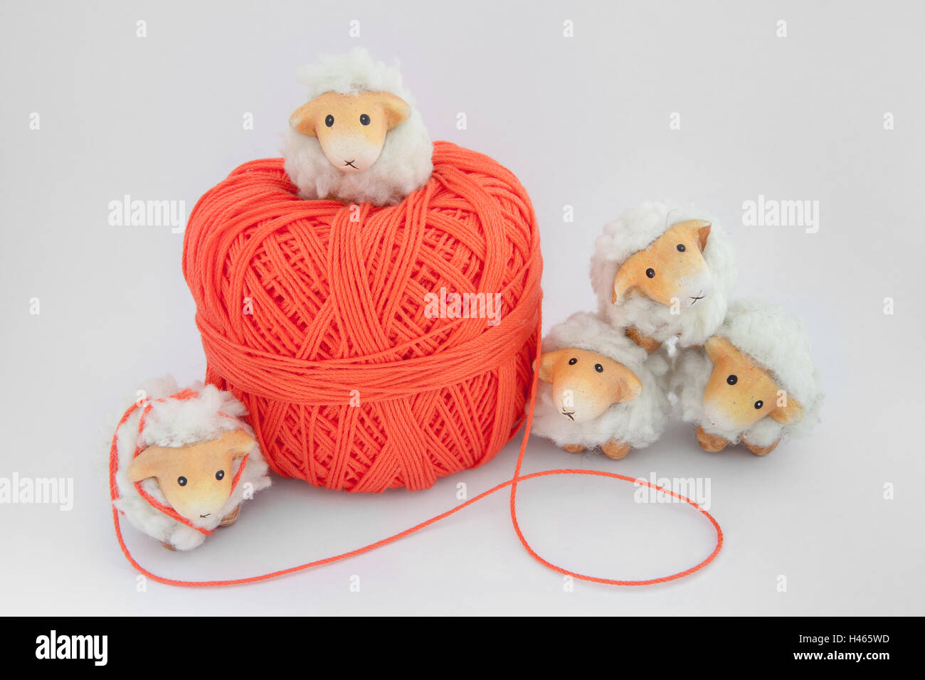 Cute sheep playing together with a ball of red wool Stock Photo - Alamy