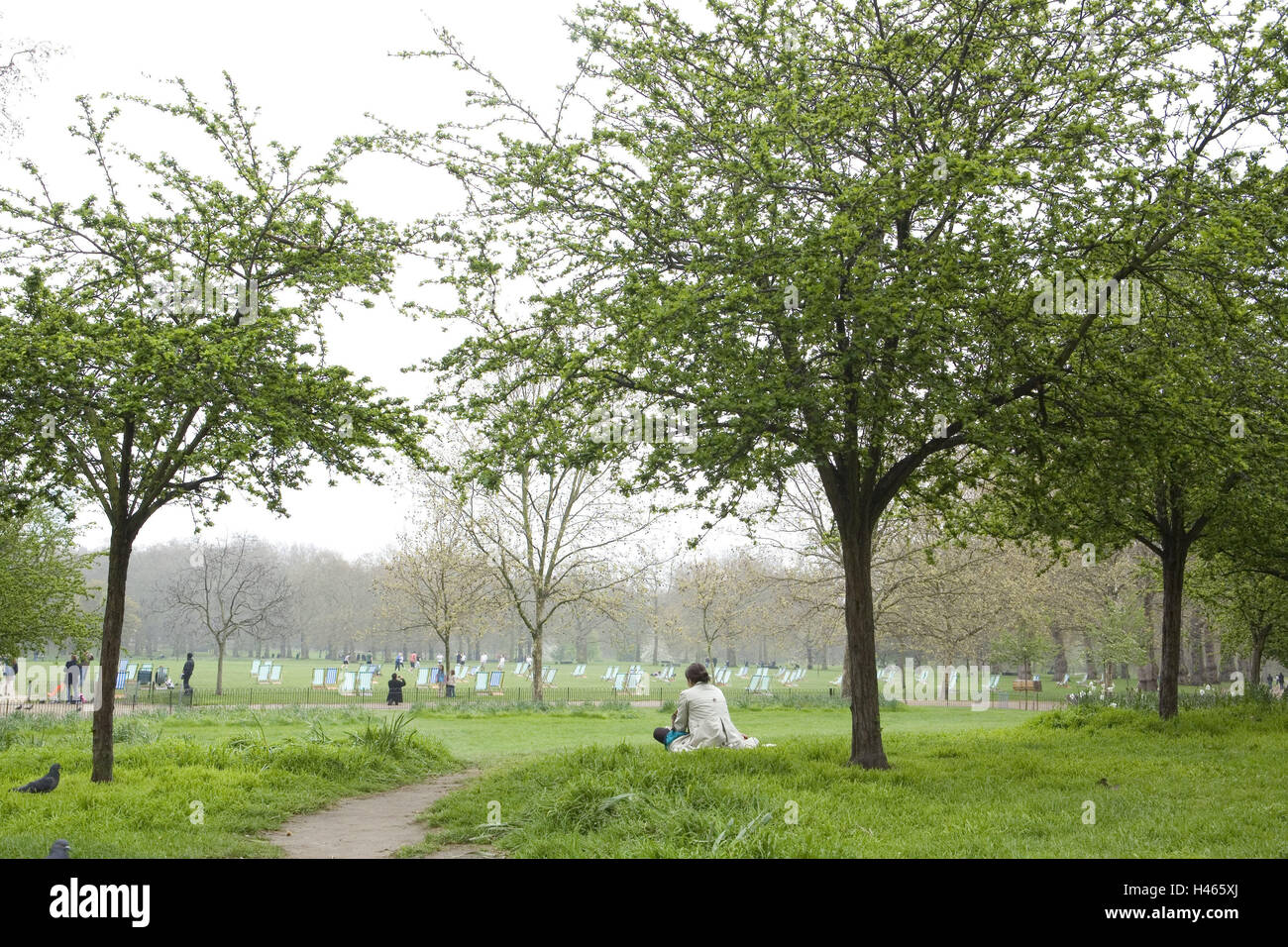Great Britain, England, London, Green, park, park way, trees, people ...