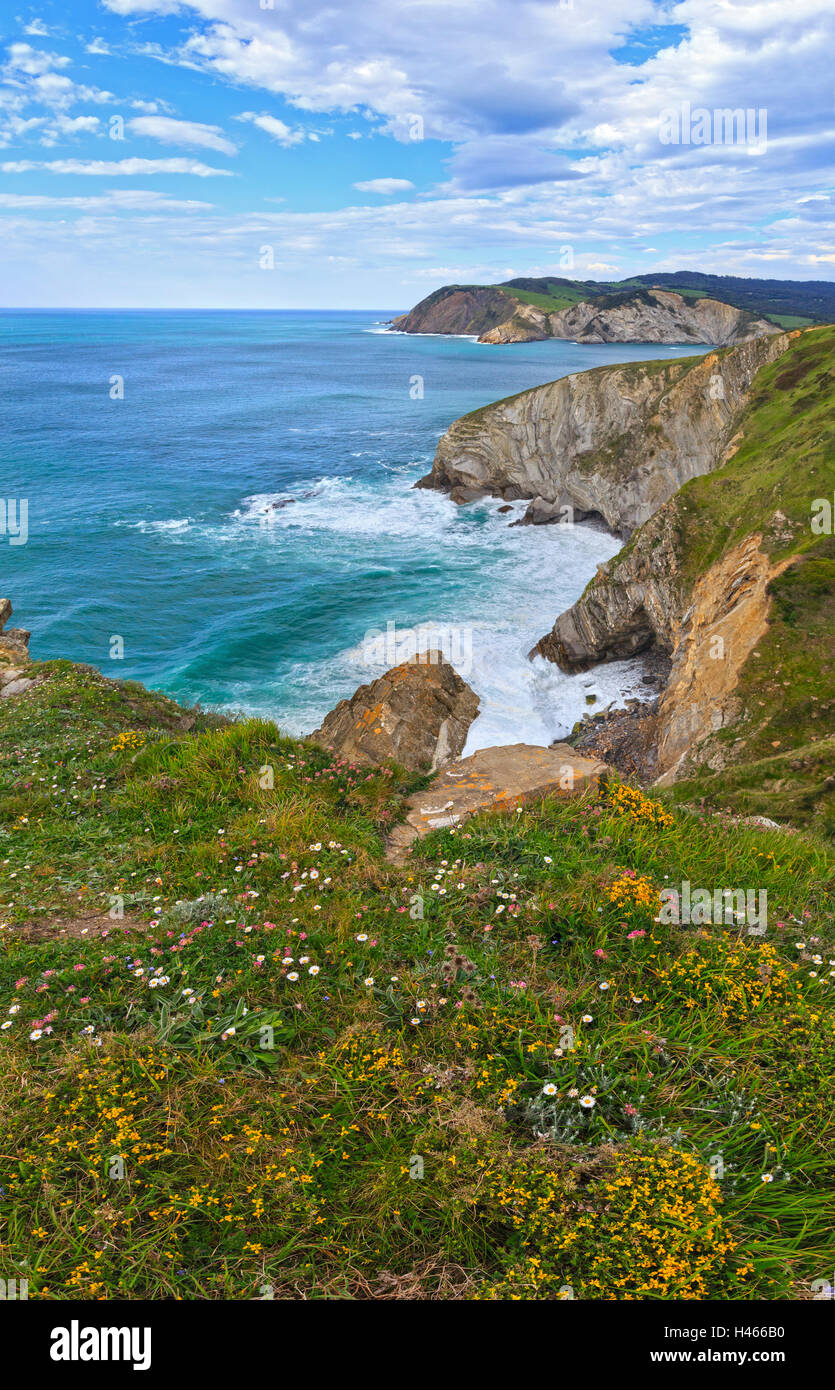 Summer blossoming ocean coastline scenery near Gorliz town, Biscay ...
