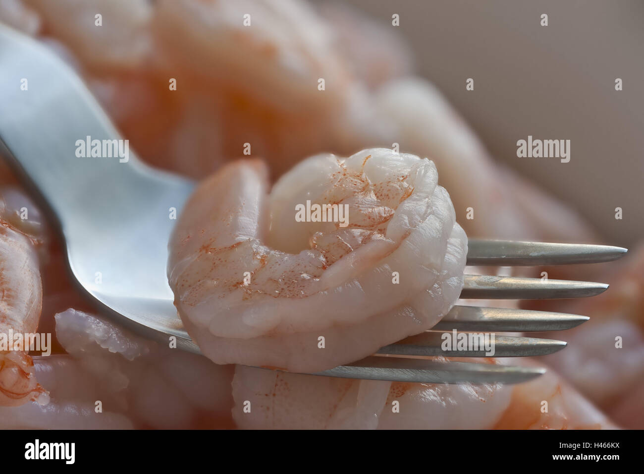 Fork, shrimp, crustaceans, sea animals, Seafood, seafood, cooked, food ...