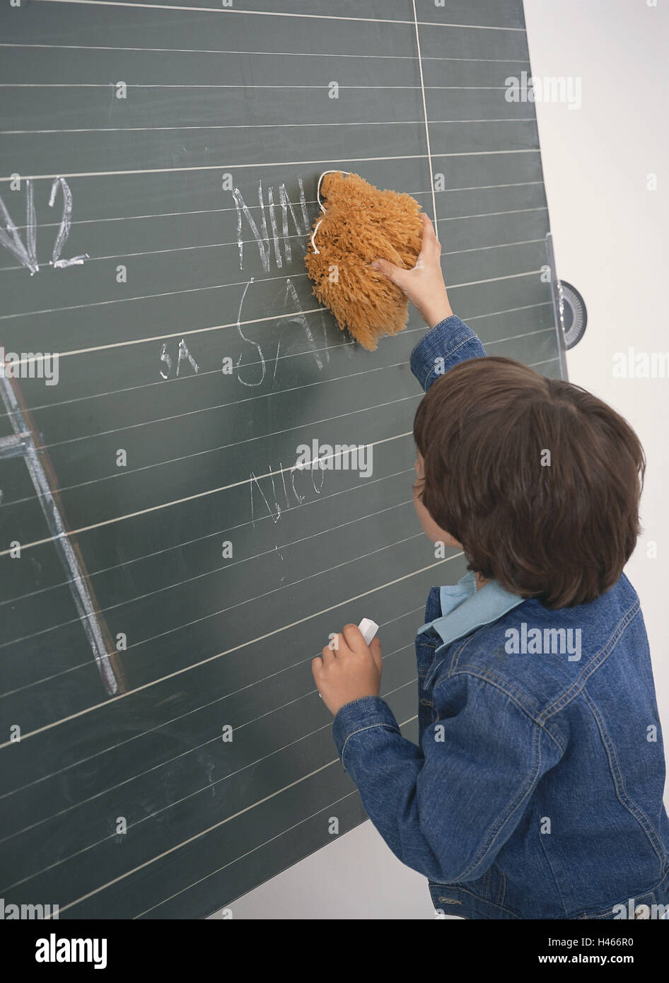 School, classroom, lessons, boy, notice board wipe, back view, school ...