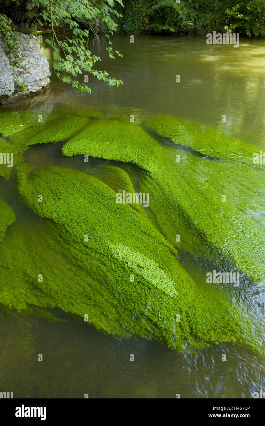 Aach Hegau High Resolution Stock Photography and Images - Alamy