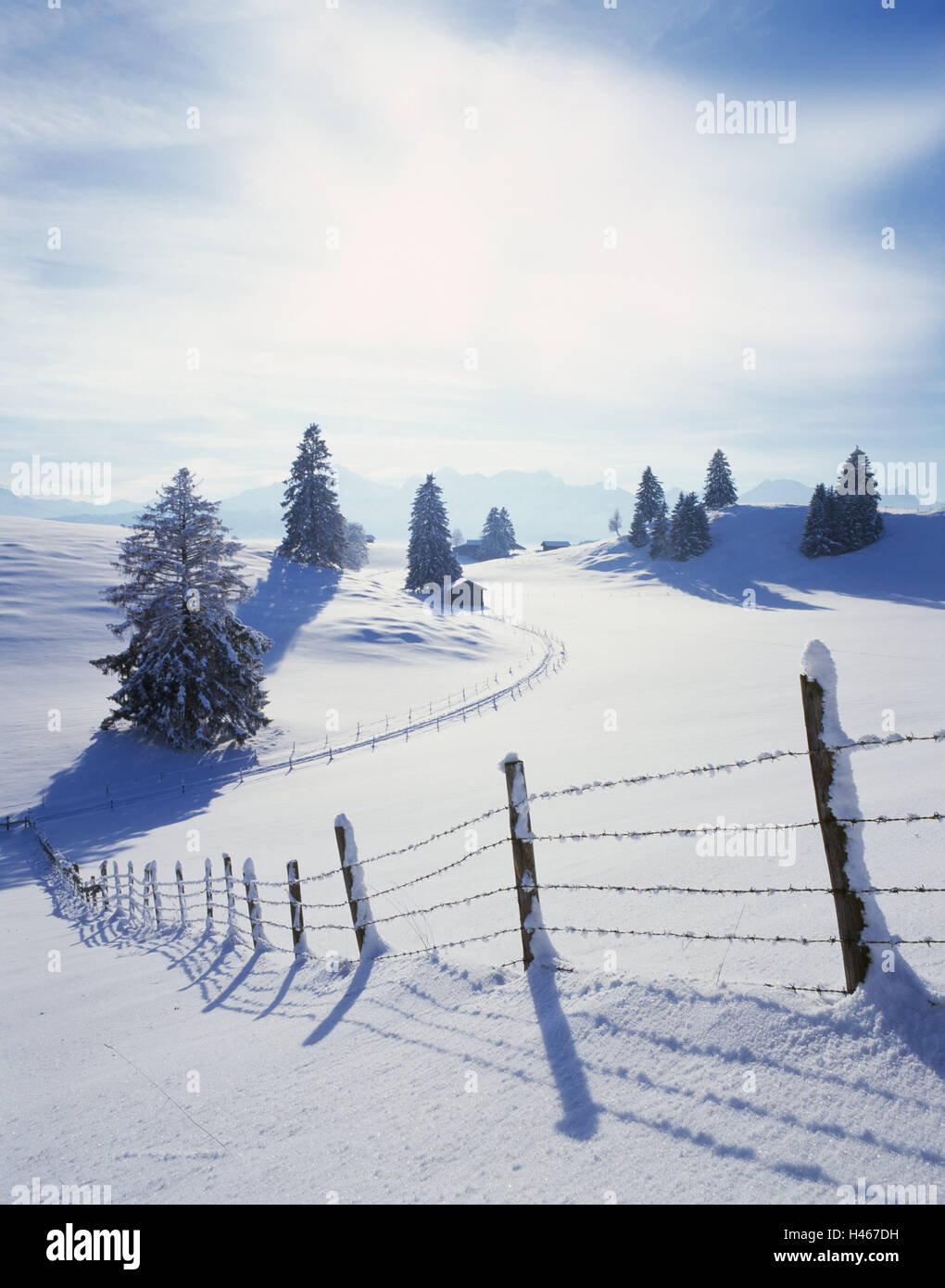 Germany, Bavaria, Allgäu, snow scenery, back light, alps, mountains ...