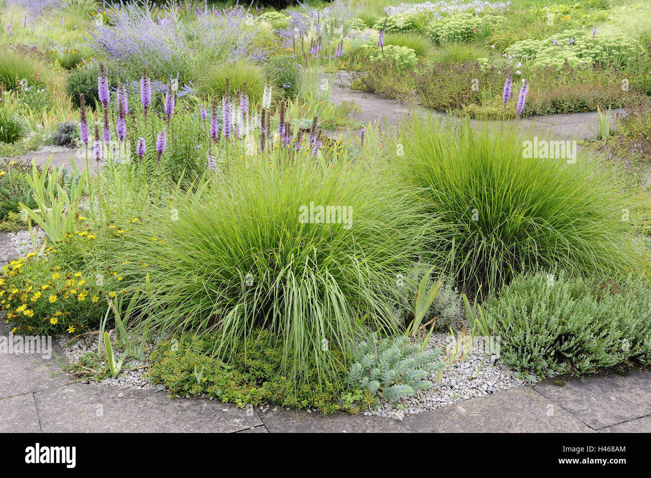 Cultivated patches hi-res stock photography and images - Alamy