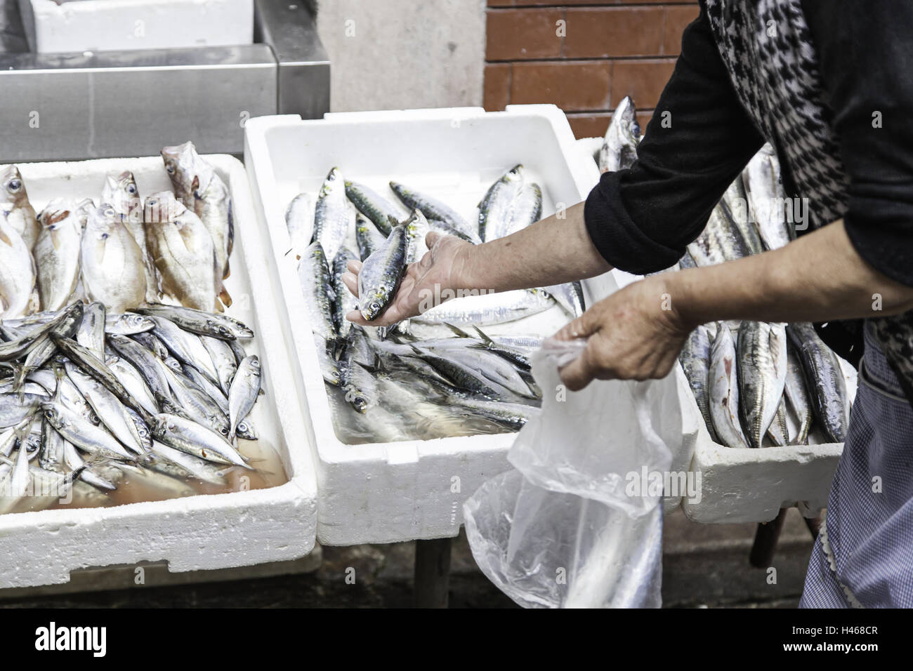 Shellfish trays hi-res stock photography and images - Alamy