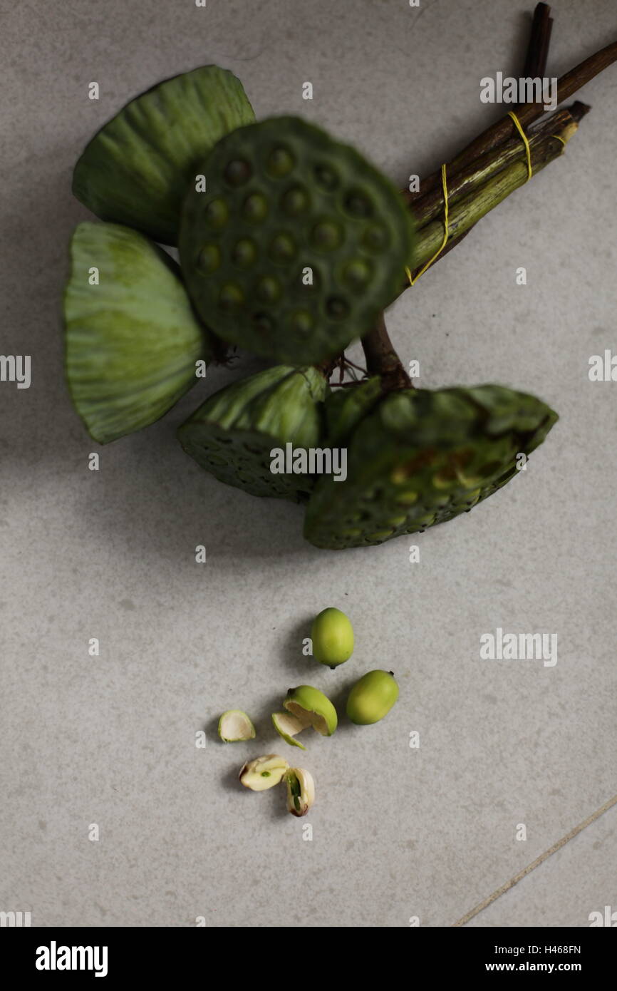 Eating lotus seed hi-res stock photography and images - Alamy