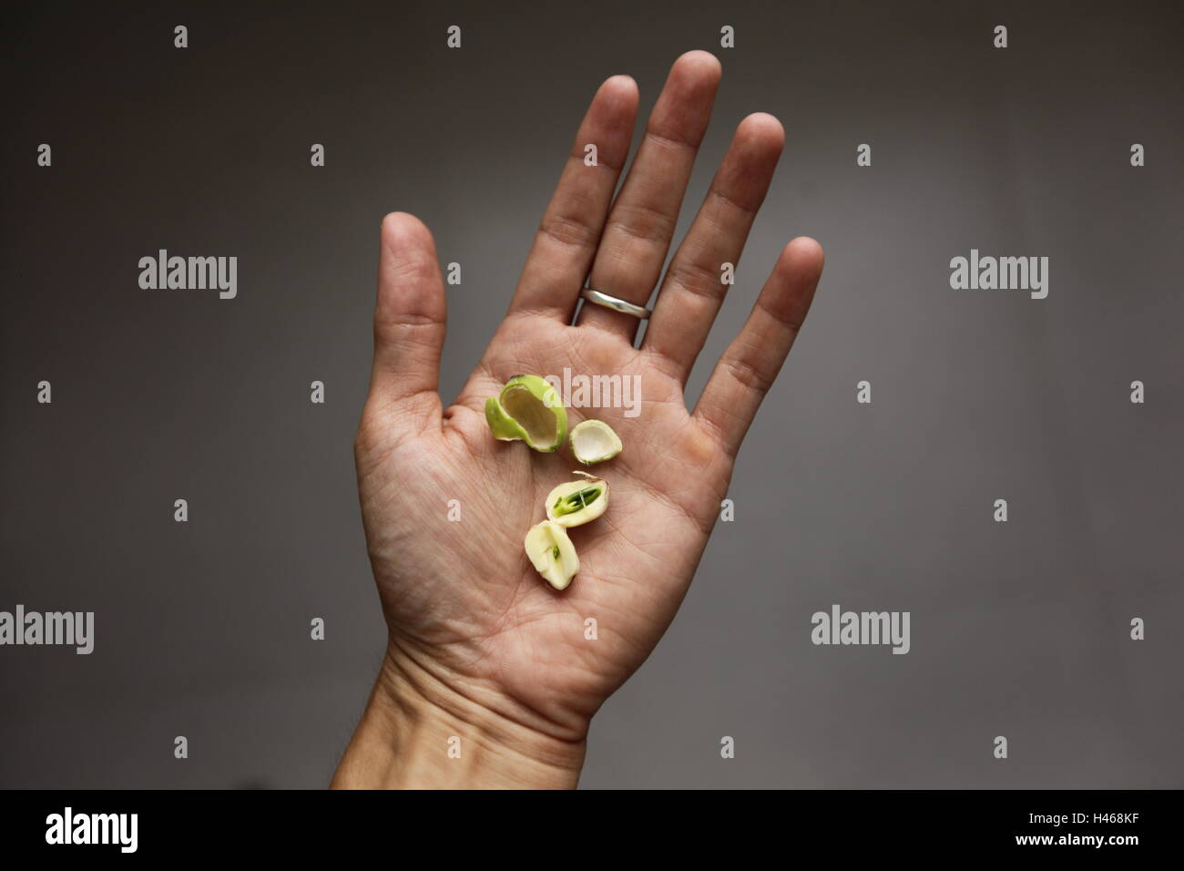 Lotus seeds on a men hand Stock Photo - Alamy