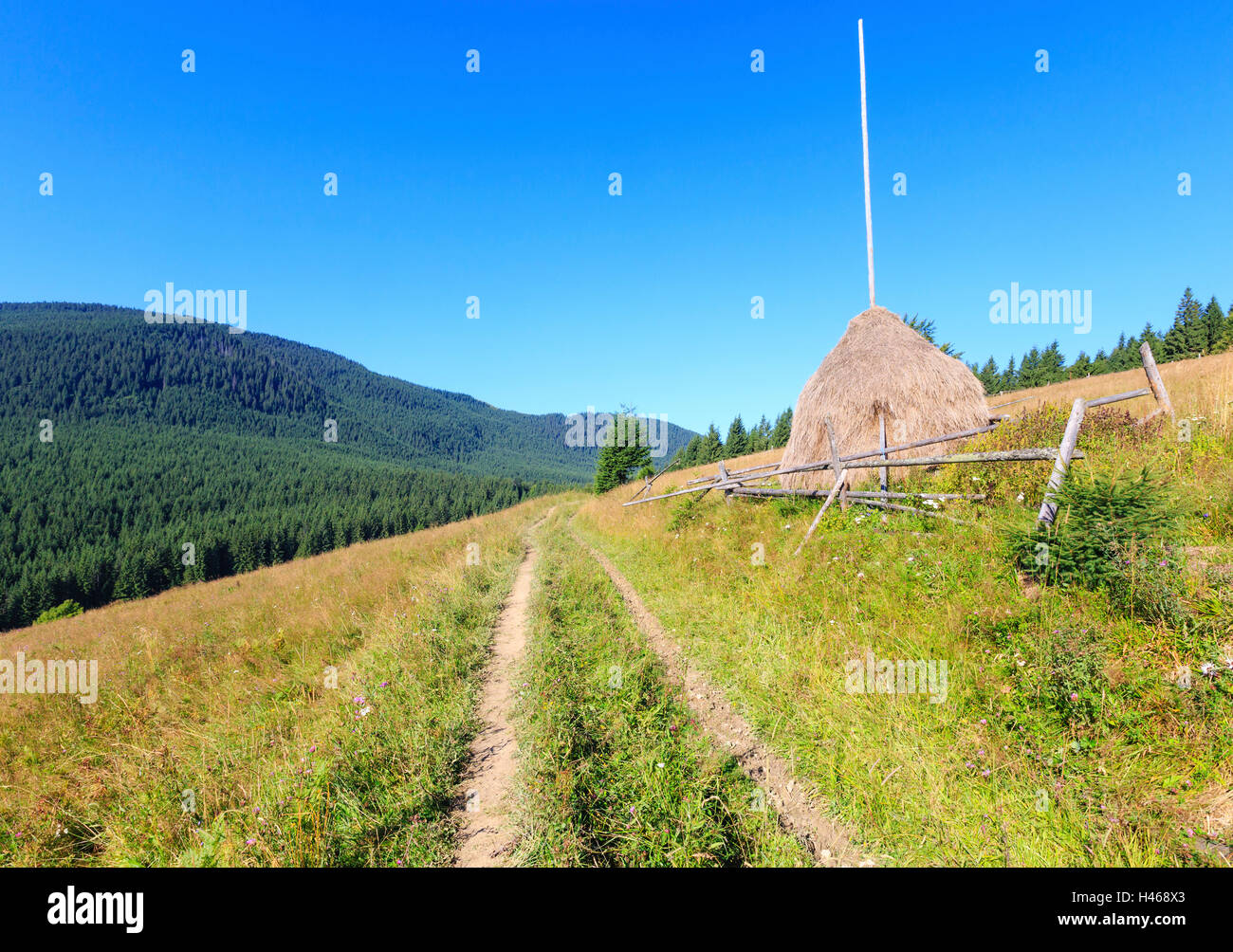 Summer Carpathian mountain country landscape with haystack and rural road on slope(Ukraine Stock ...