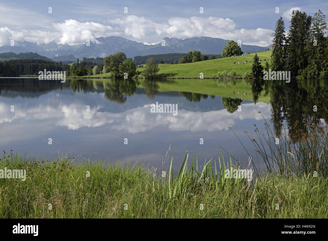 Germany, Bavaria, Seeg, Schwaltenweiher, Allgäu, Swabian, aerial health ...