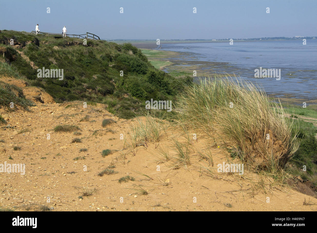 Morsum nature reserve hi-res stock photography and images - Alamy