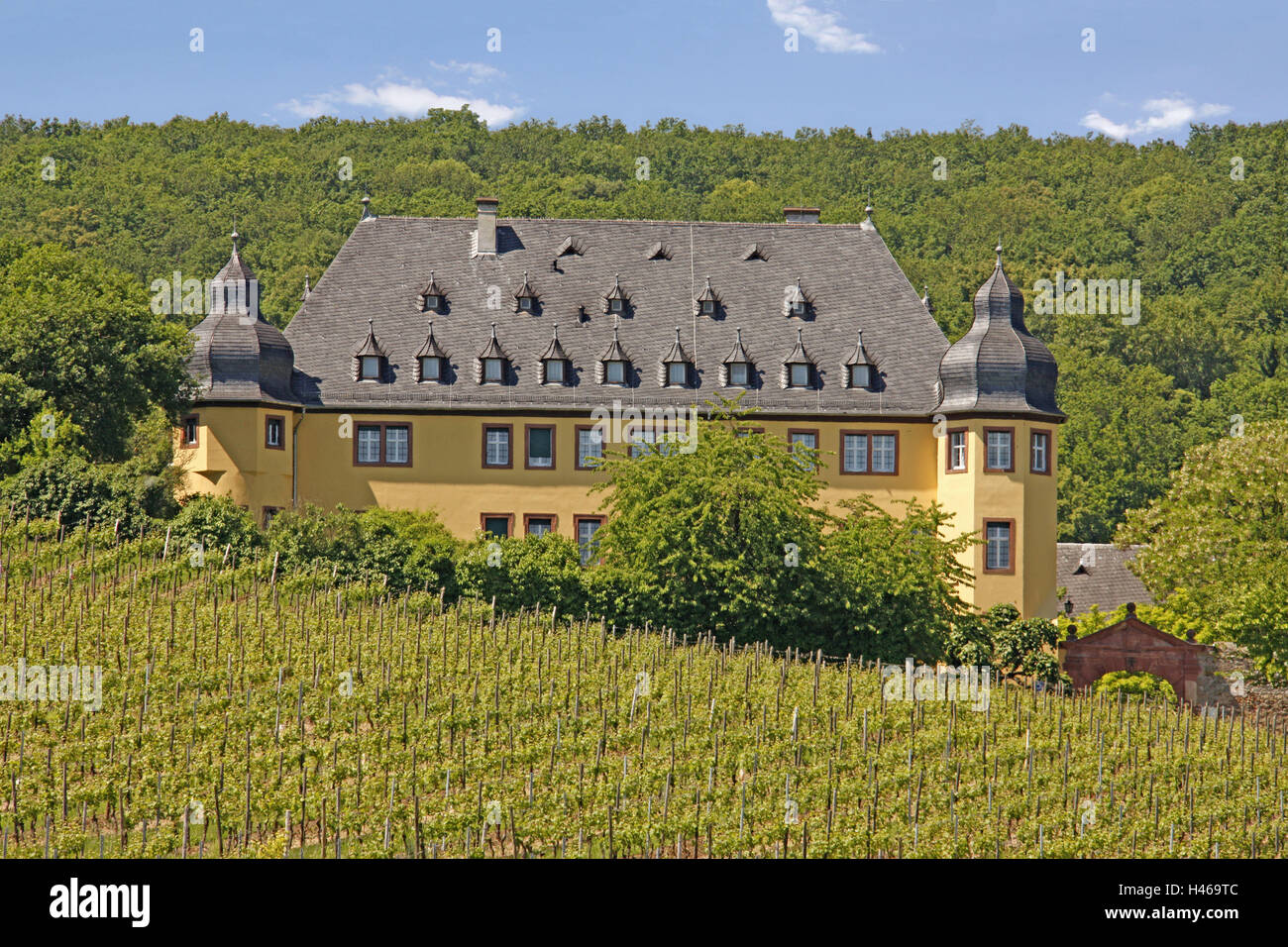 Germany, Hessen, the Rhinegau, castle full radian, vineyard, Rhine ...