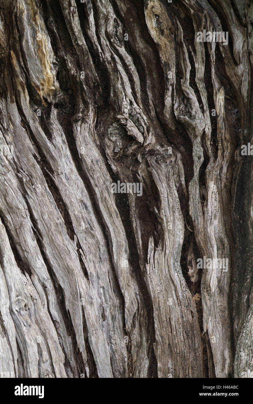 Olive Grooves High Resolution Stock Photography and Images - Alamy