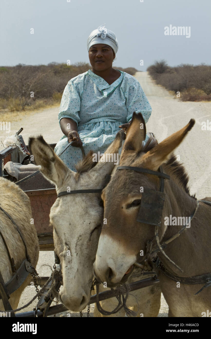 Africa, Namibia, region of Kunene, Kaokoveld, Ovambo woman on donkey ...