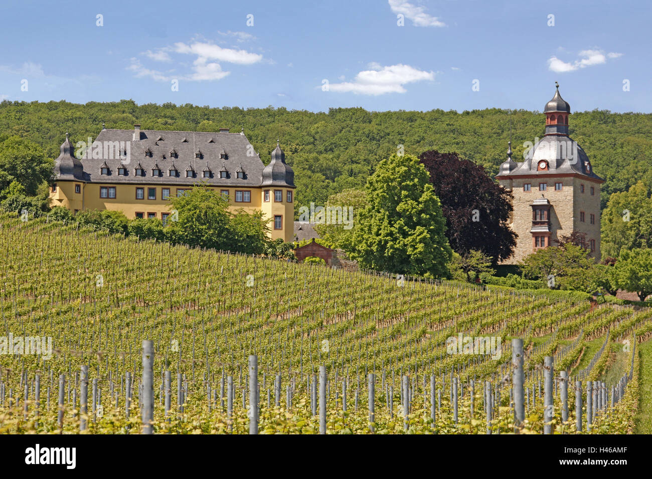 Germany, Hessen, the Rhinegau, castle of full radian, residential tower ...