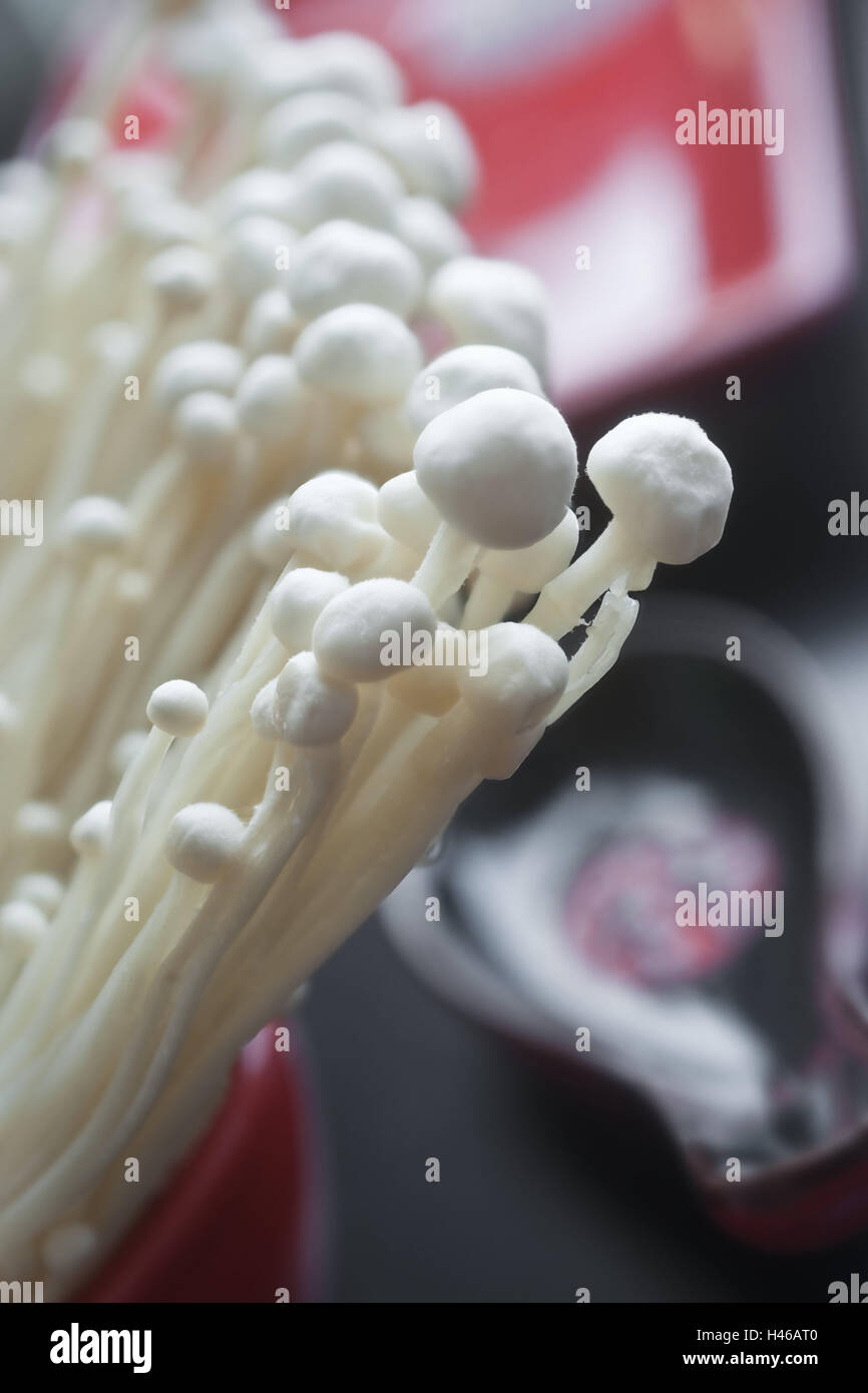 Fungi, raw, Chinese, in Chinese, white Stock Photo - Alamy