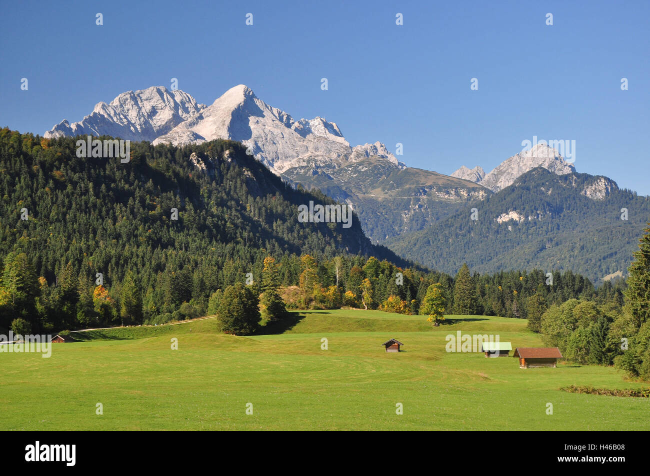 Germany, Bavaria, Wetterstein Range, Alpine grassland Stock Photo - Alamy
