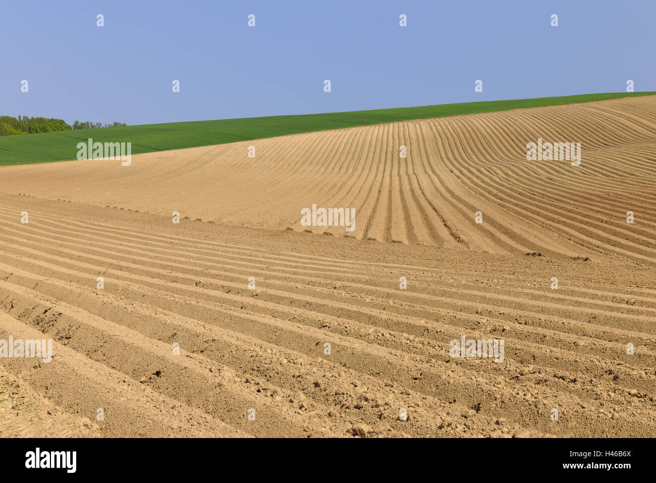 Parallel lines field hi-res stock photography and images - Alamy