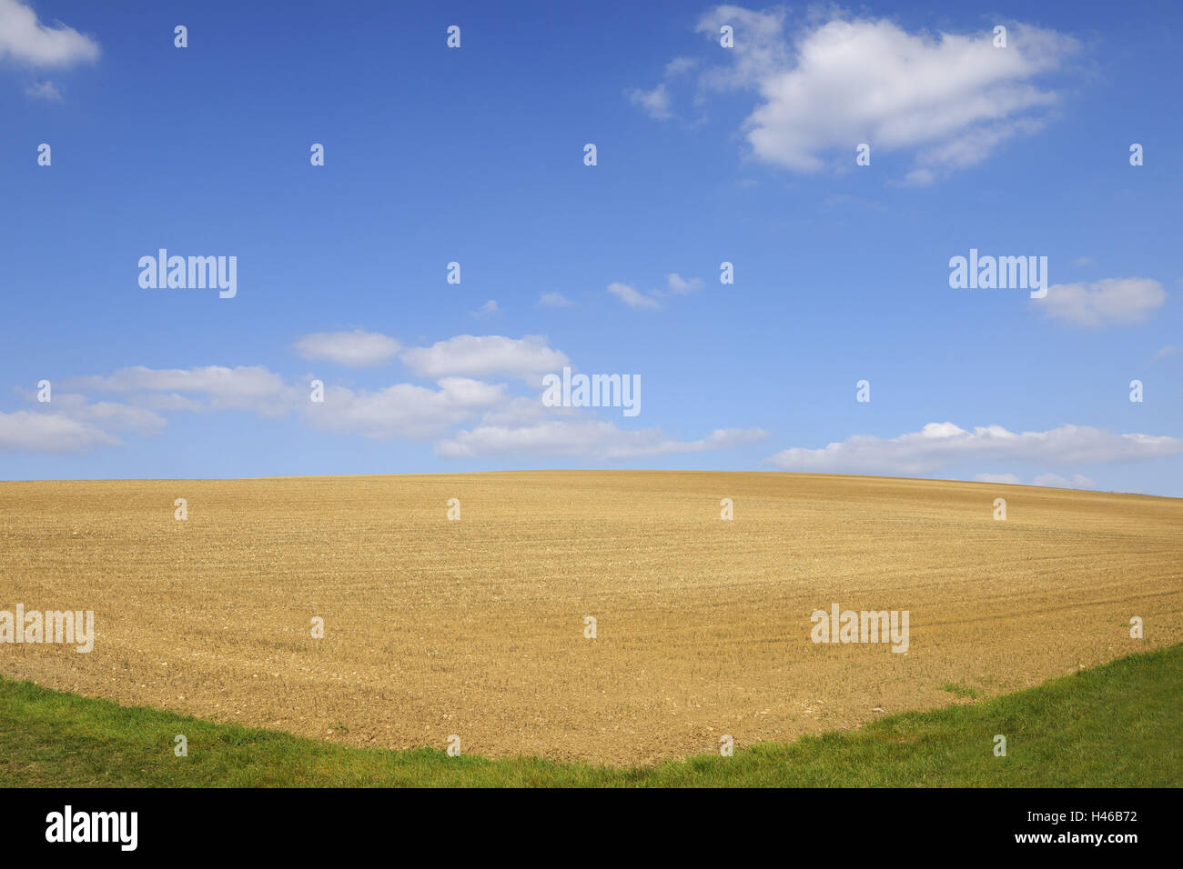 Field horizon hi-res stock photography and images - Alamy