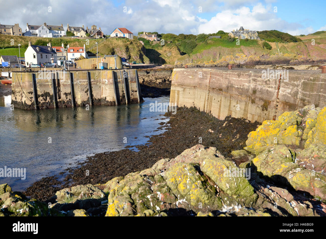 St abbs saint abbs harbour hi-res stock photography and images - Alamy