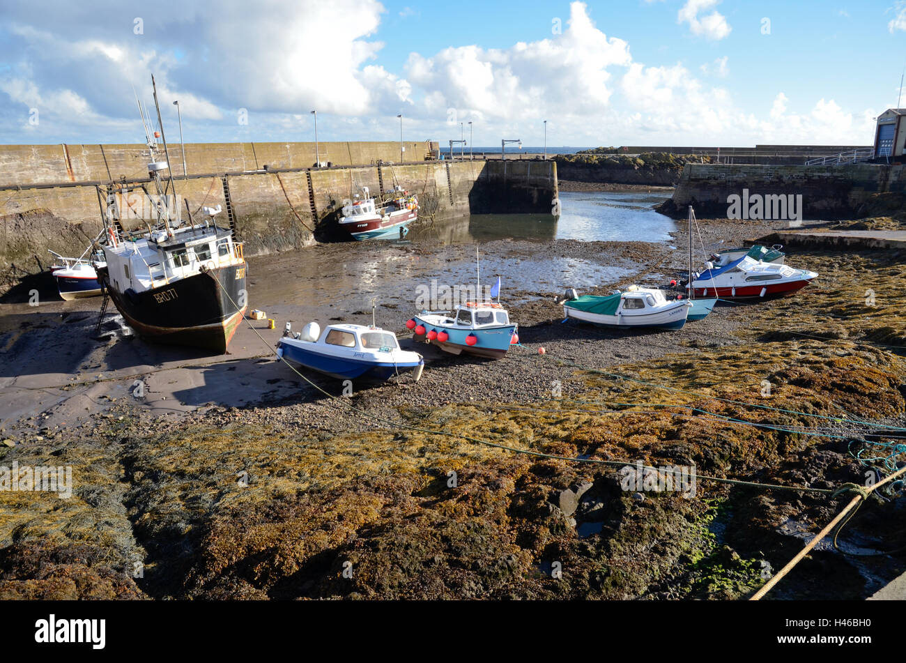 Eastern scottish hi-res stock photography and images - Alamy