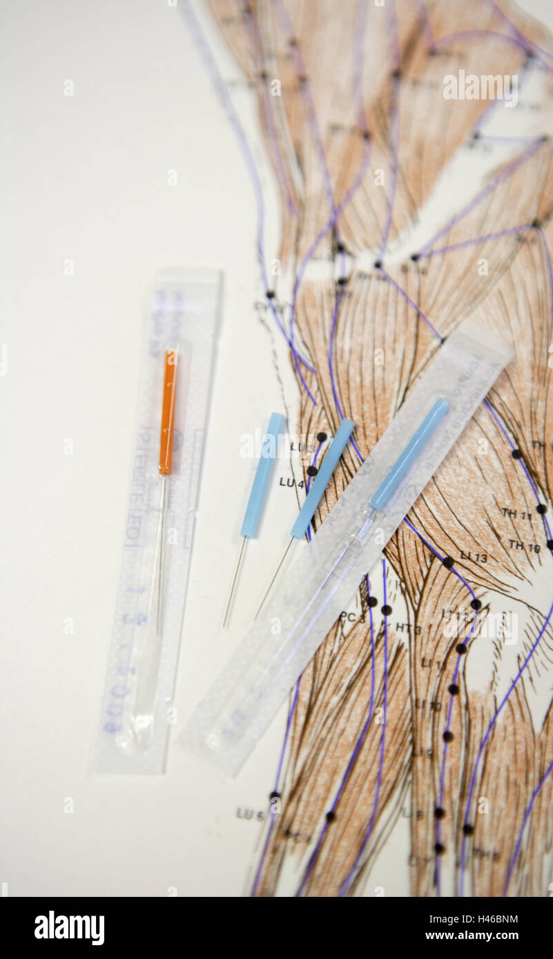 Animal acupuncture, surgery, veterinary practice, veterinarian Stock ...