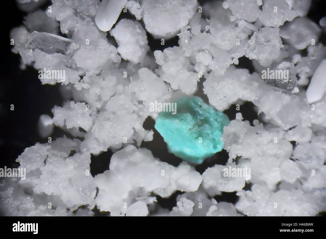 Microscopic powder hi-res stock photography and images - Alamy