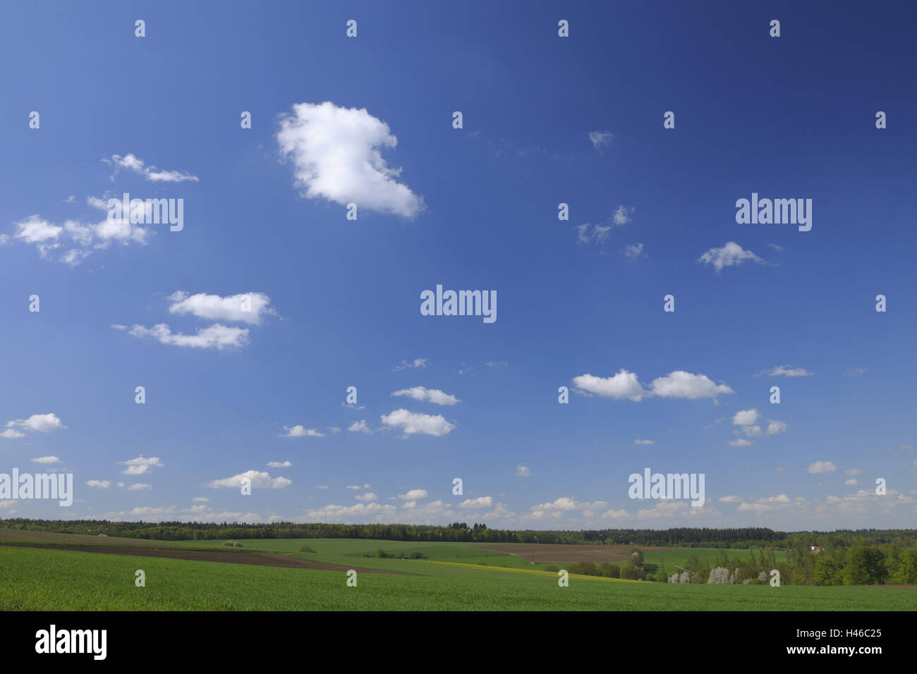 Scenery, spring, field, heaven, clouds Stock Photo - Alamy