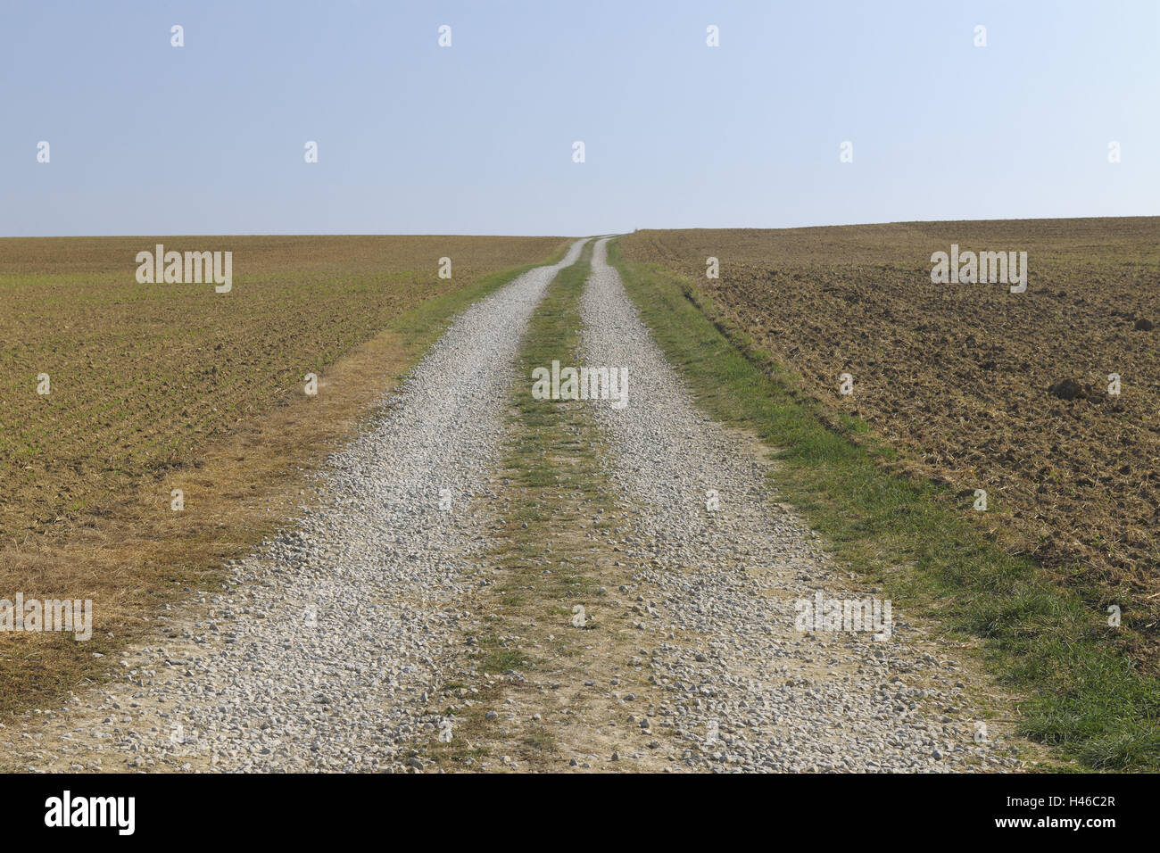 Hall way, field, autumn, horizon Stock Photo - Alamy