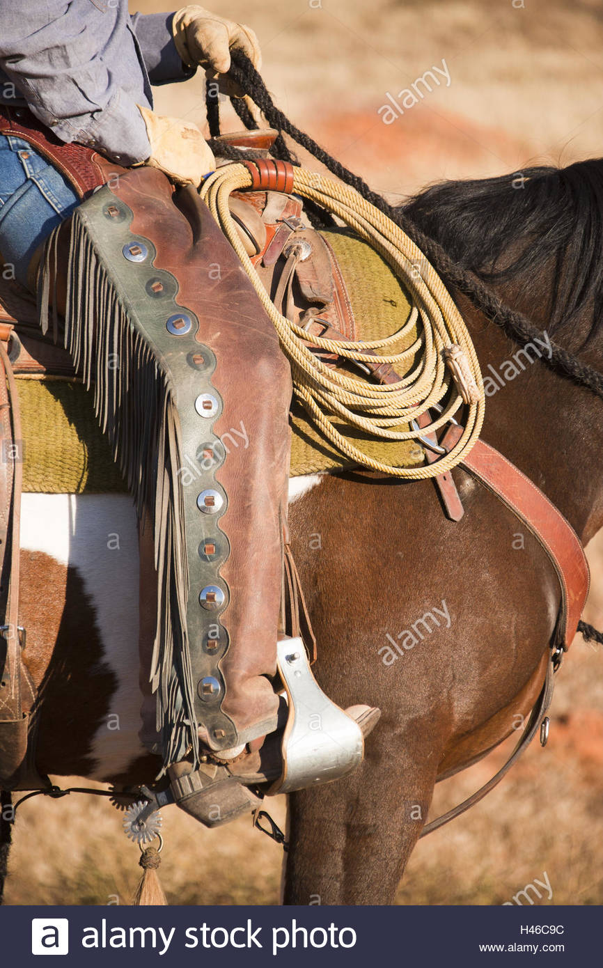 Lasso Saddle Stock Photos & Lasso Saddle Stock Images - Alamy