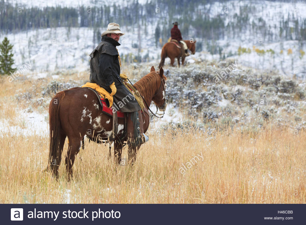 Cowboys Riding Horses In Snow High Resolution Stock Photography and ...