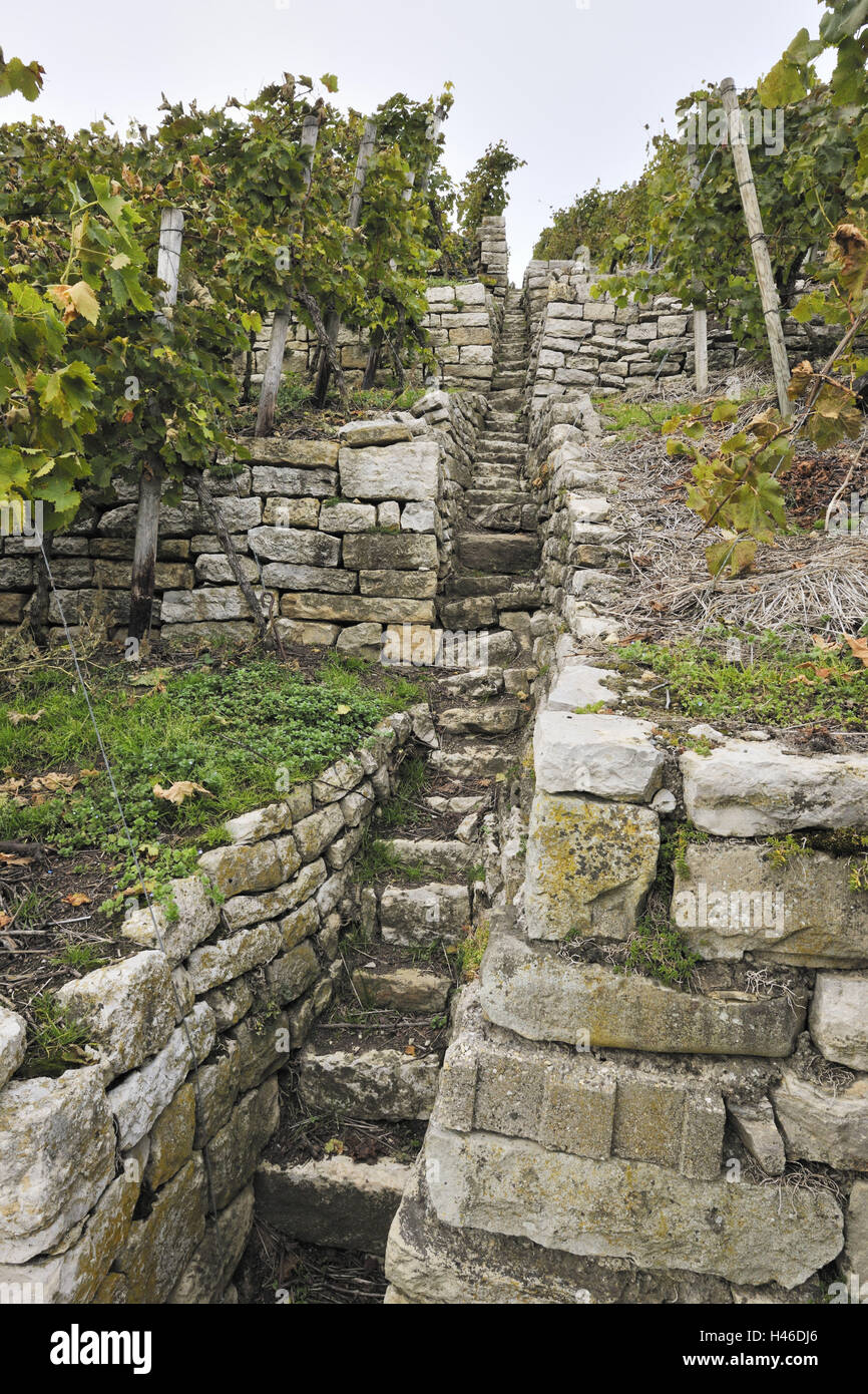 Defensive value hi-res stock photography and images - Alamy