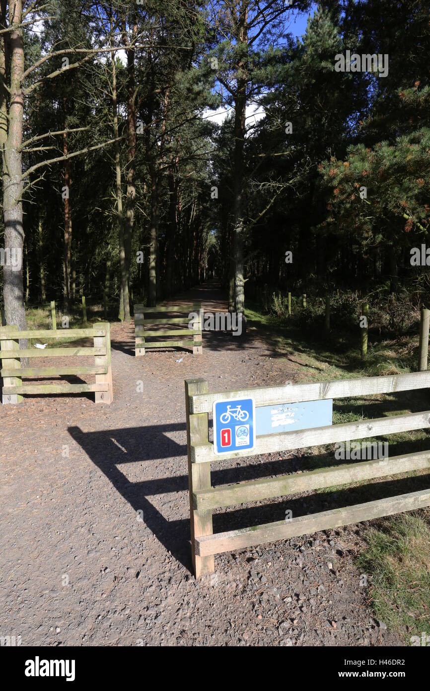 Cycle Route 1 Angus Coastal Path near Montrose Angus Scotland October ...