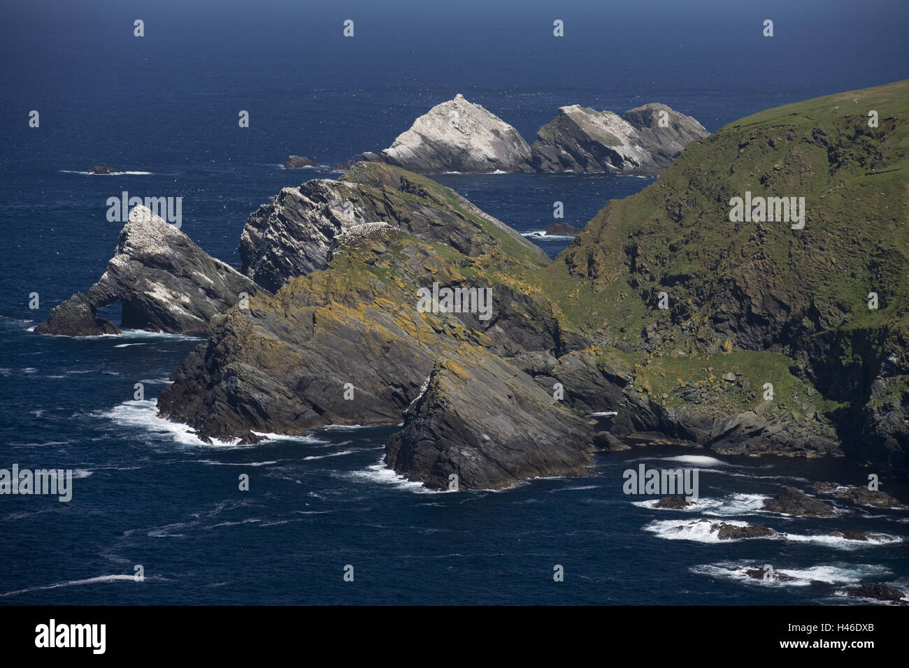 Shetland islands, island Unst, Hermaness, rock Muckle Flugga Stock ...