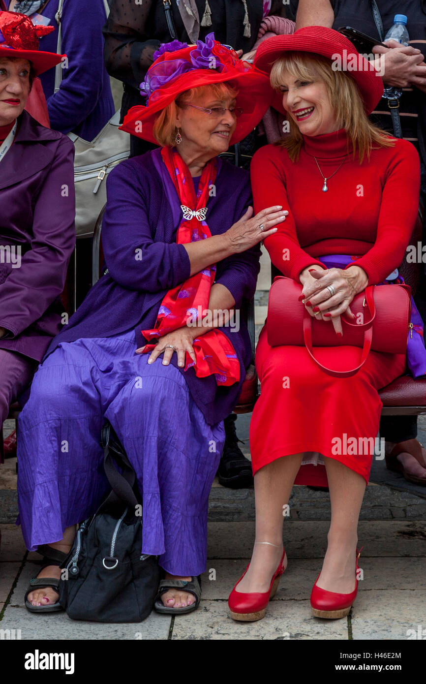 Red purple hats hi-res stock photography and images - Alamy