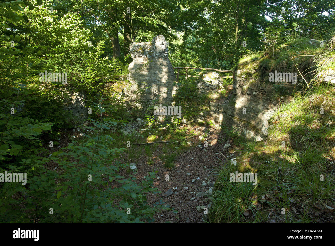 Germany, Lower Saxony, Harz, bath Sachsa, Saxon's castle ruin Stock ...
